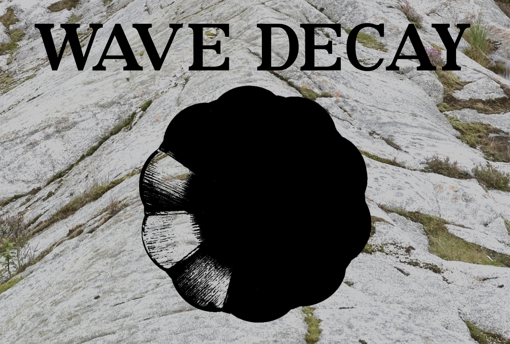 Wave Decay, Sanctuary Headed – Katie Anderson